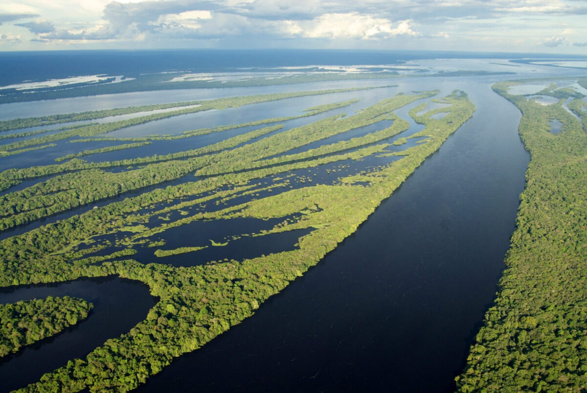 Home EN - Amazon Basin Project